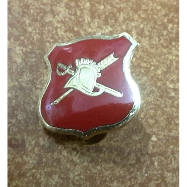 PIOCHA ARMA AYUDANTIA EJERCITO DE CHILE – Surmaquetas