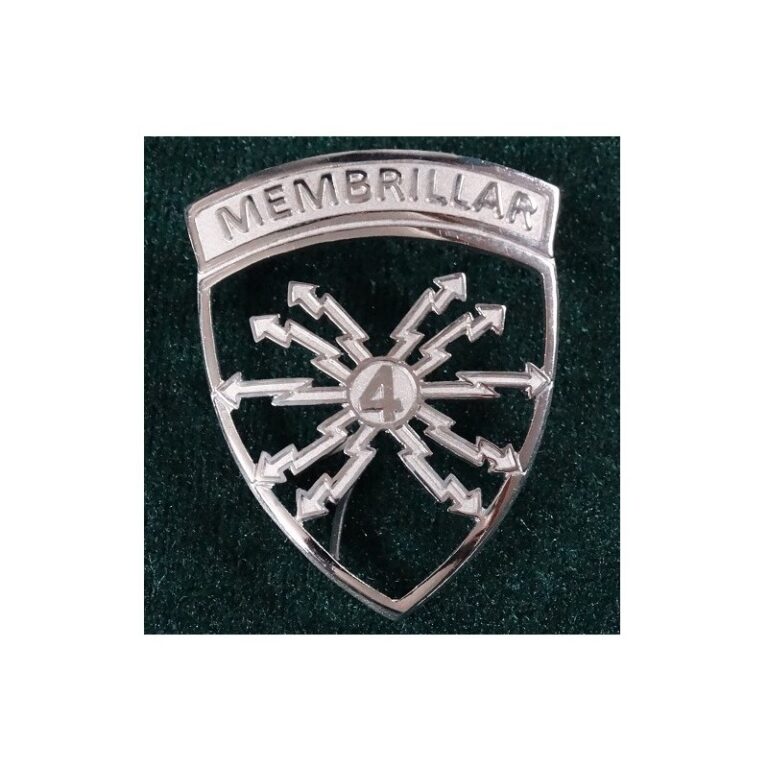 PIOCHA REGIMIENTO DE TELECOMUNICACIONES “MEMBRILLAR” EJERCITO DE CHILE ...